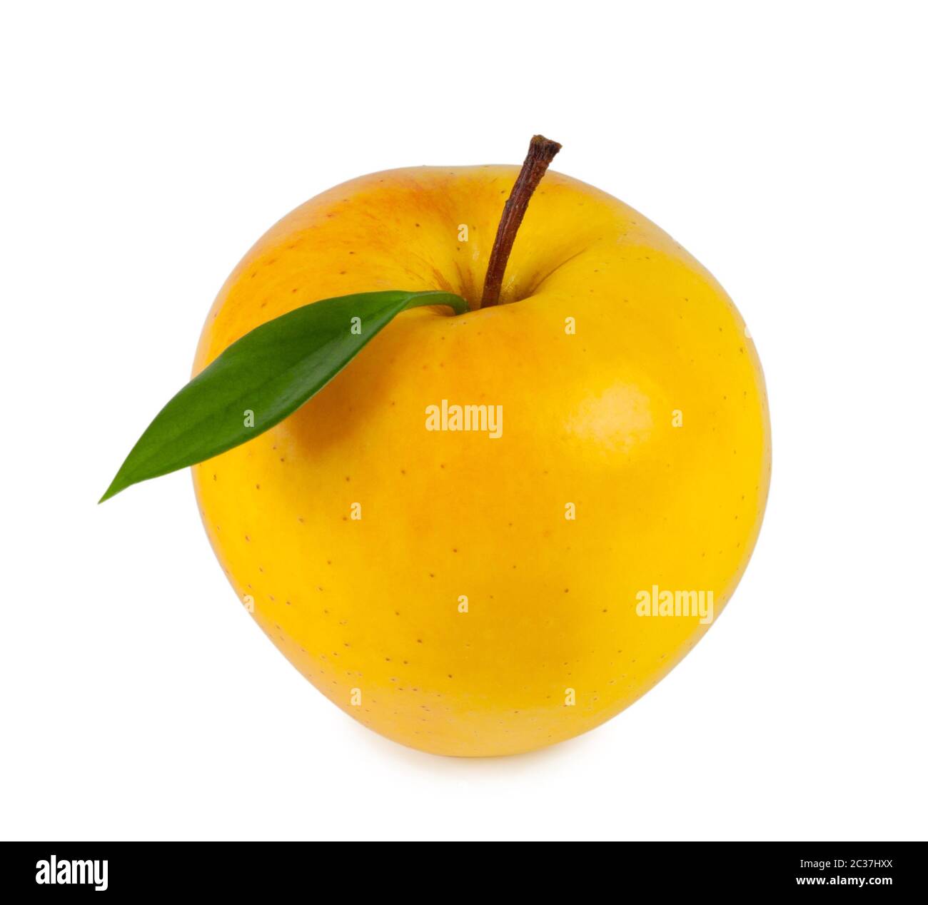 Yellow ripe apple leaf hi-res stock photography and images - Alamy
