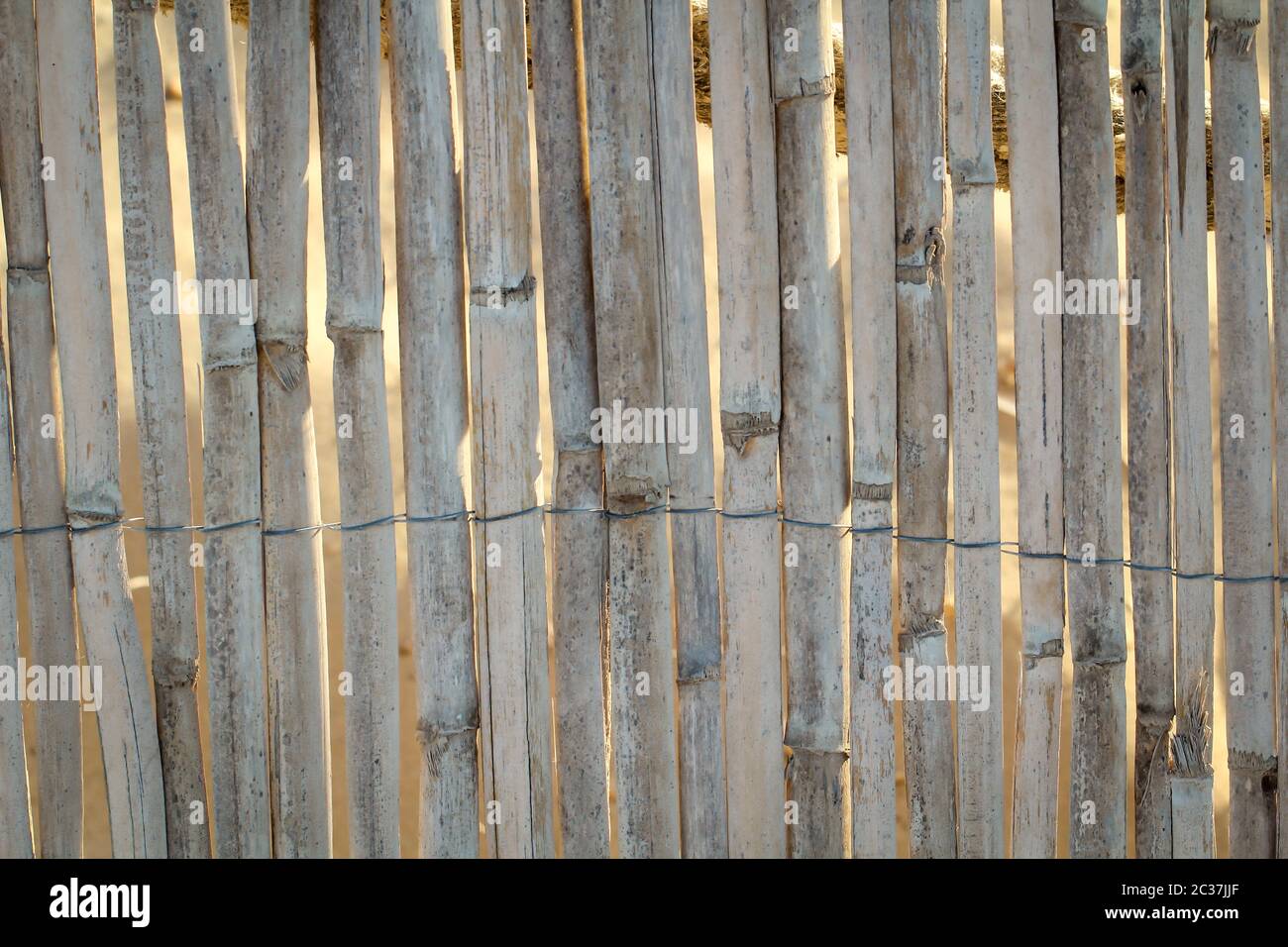Detail of a privacy screen made of pipe, straw or bamboo, texture Stock ...