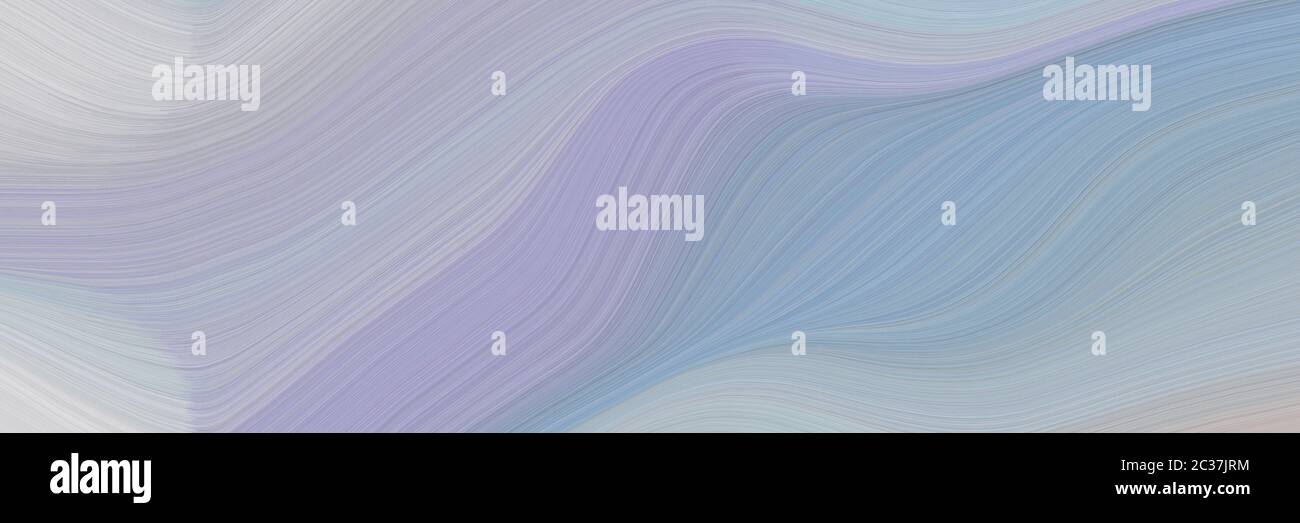 abstract modern horizontal header with ash gray, light gray and light ...