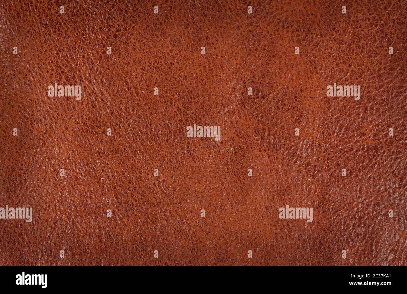 Shiny skin hi-res stock photography and images - Alamy