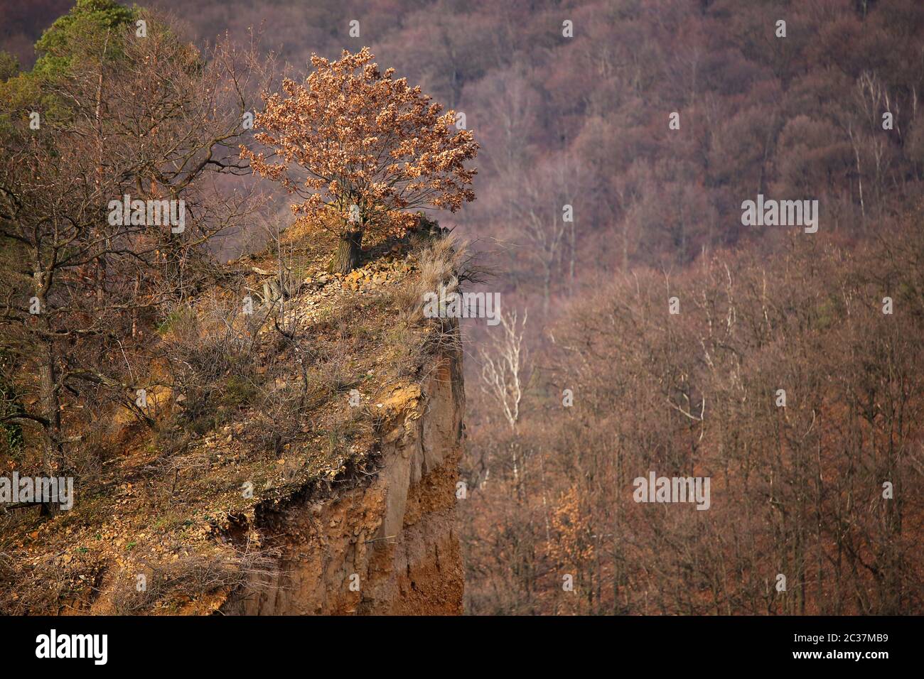 Life on the abyss Stock Photo - Alamy