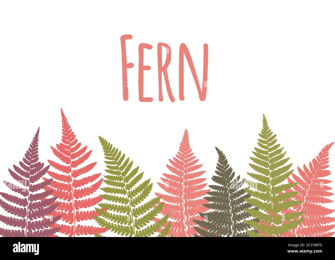 Fern leaf background. Tropical botanical card. Vector illustration ...