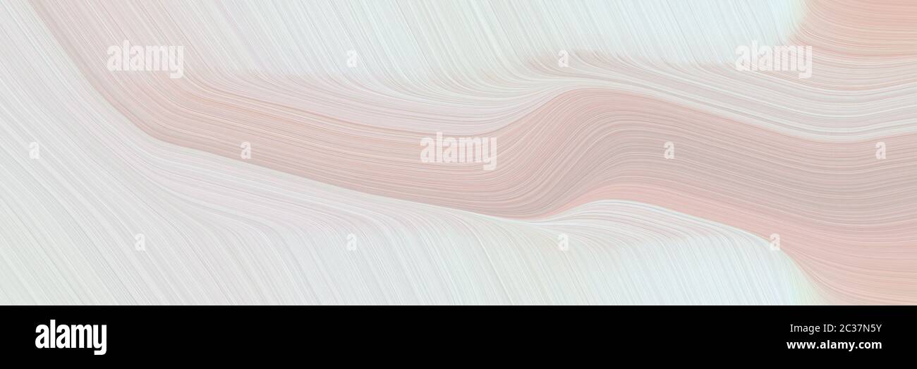 abstract modern header design with light gray, pastel gray and silver ...