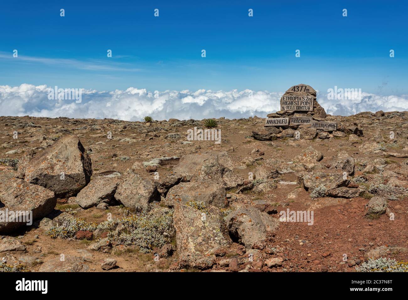 Tulu hi-res stock photography and images - Alamy