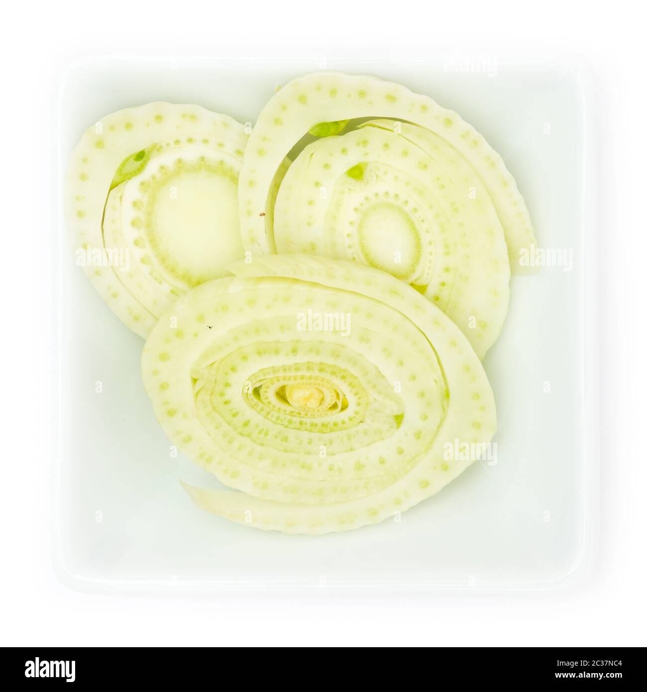 Fennel plant pot hi-res stock photography and images - Alamy