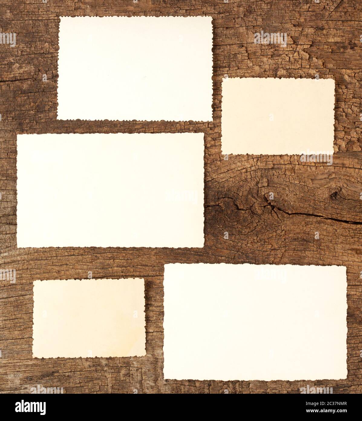 Blank on reverse hi-res stock photography and images - Alamy