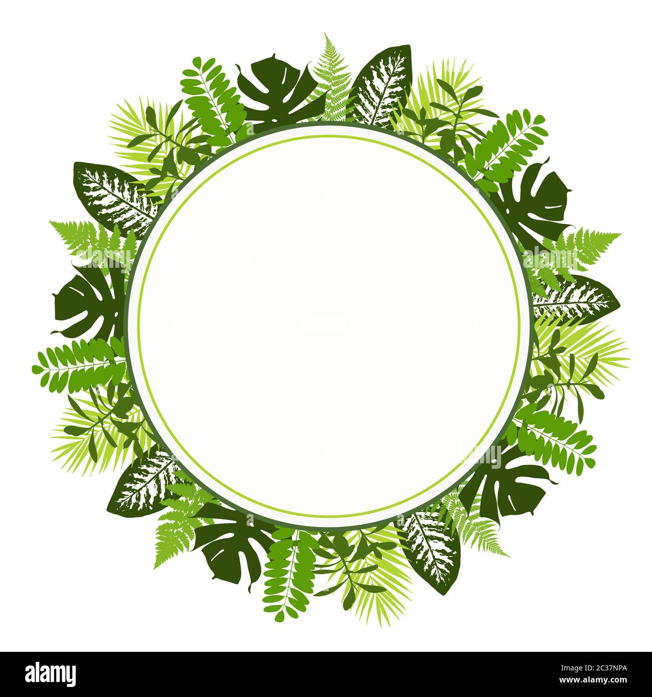 Tropical leaves background with white round banner. Palm,ferns ...