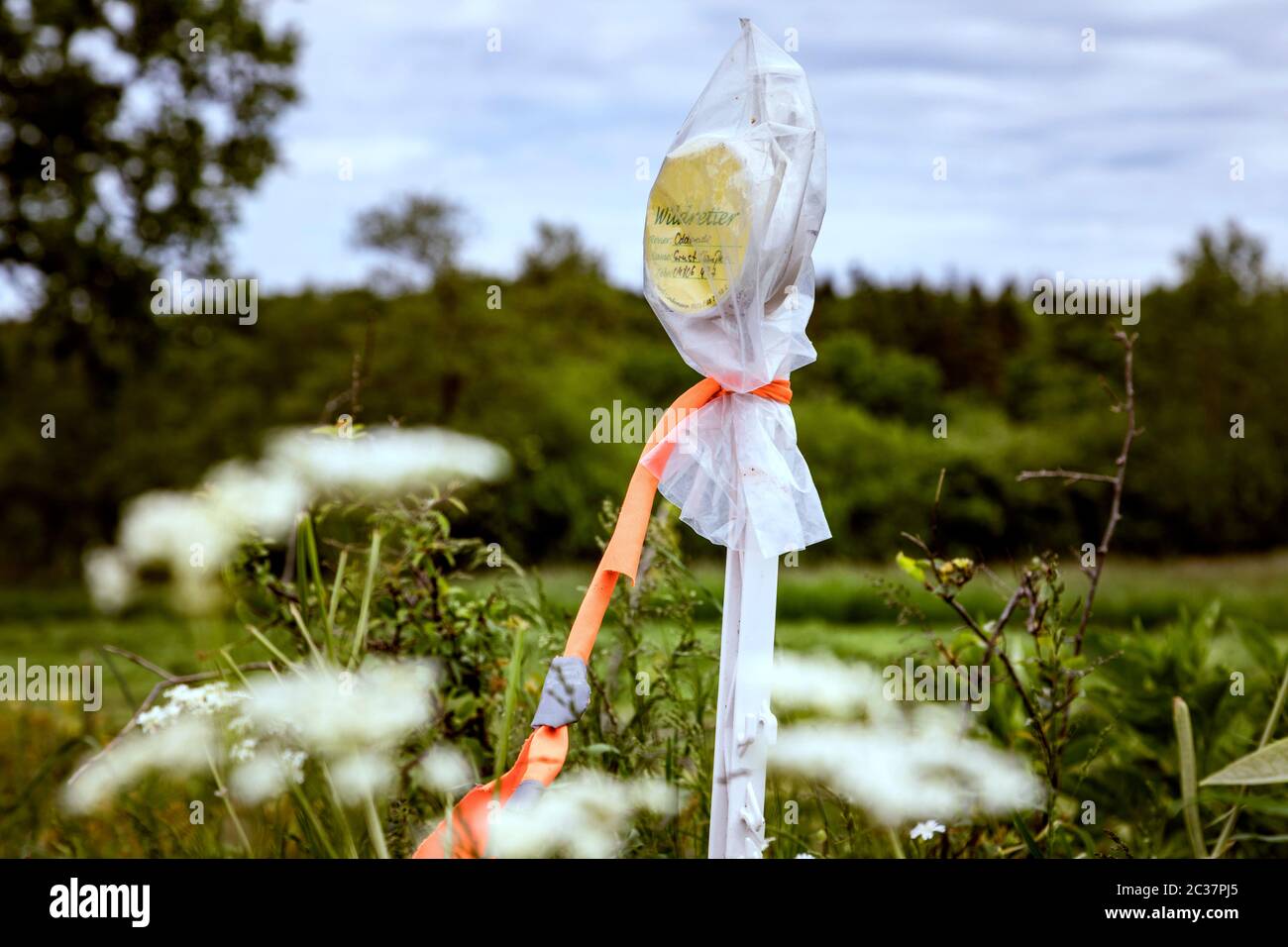 The device emits beeps designed to drive wild animals from fields ...