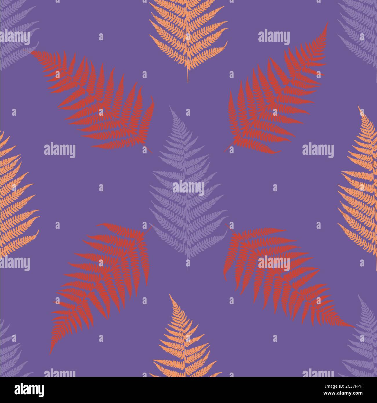 Fern seamless pattern. Ultra violet. Vector illustration Stock Photo - Alamy