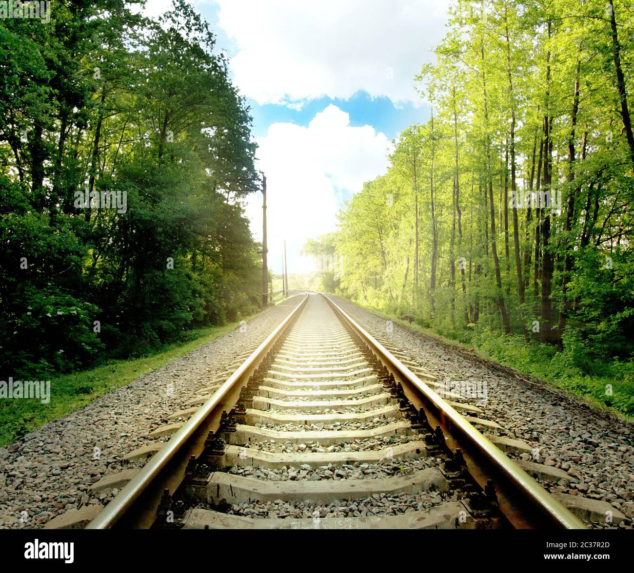 Railway stretches into the distance through the trees Stock Photo - Alamy