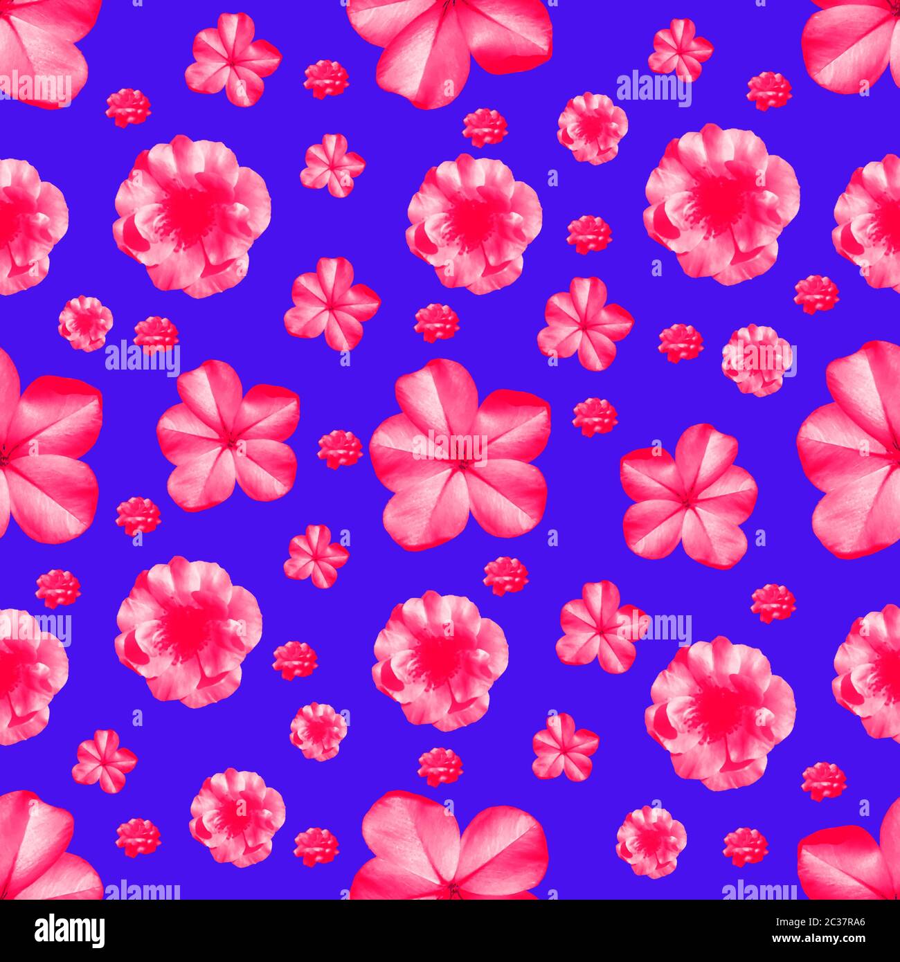 Vibrant floral fabric hi-res stock photography and images - Alamy