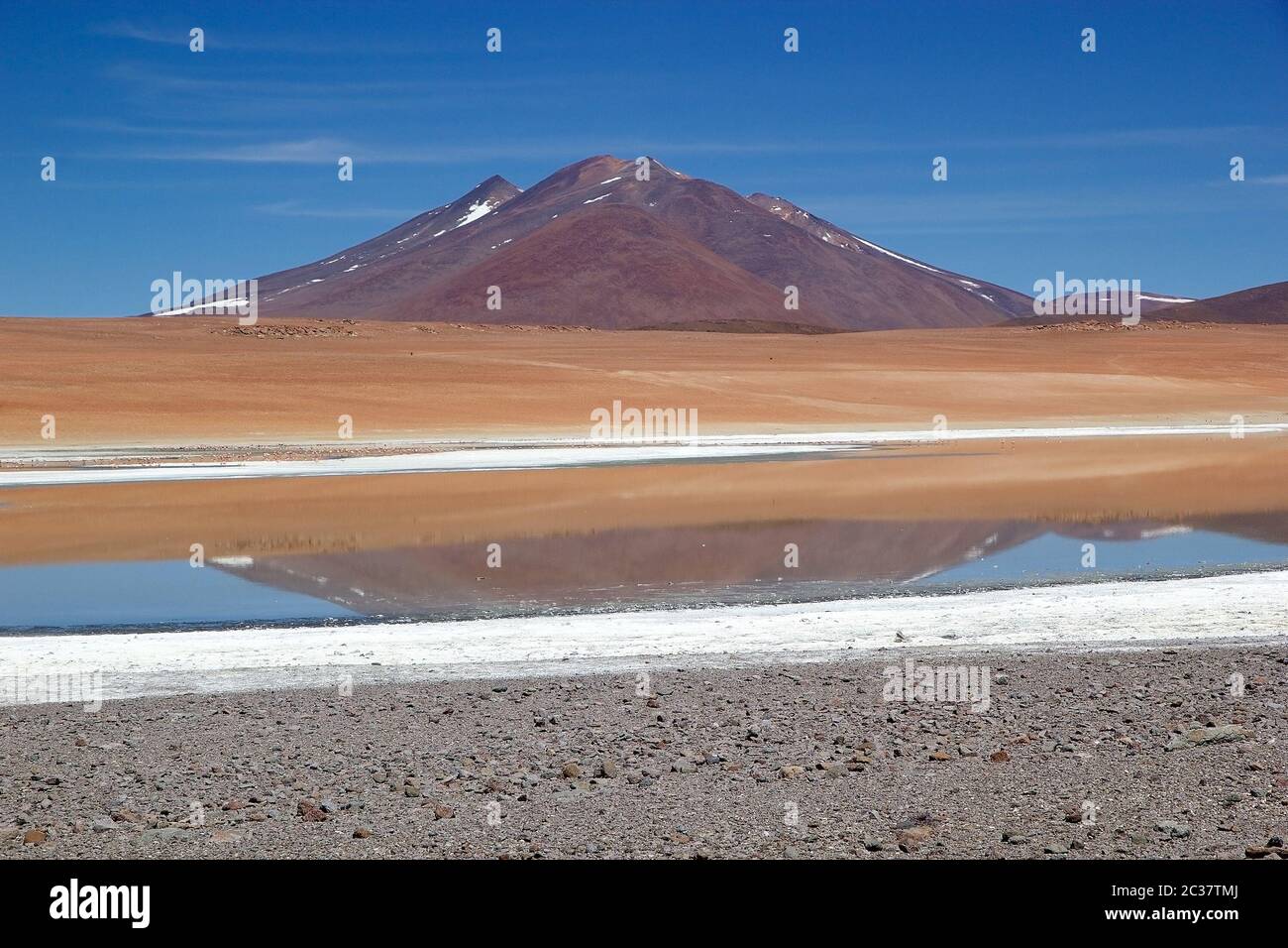 Santa Maria Lagoon with volcano Incahuasi at the Puna de Atacama with ...