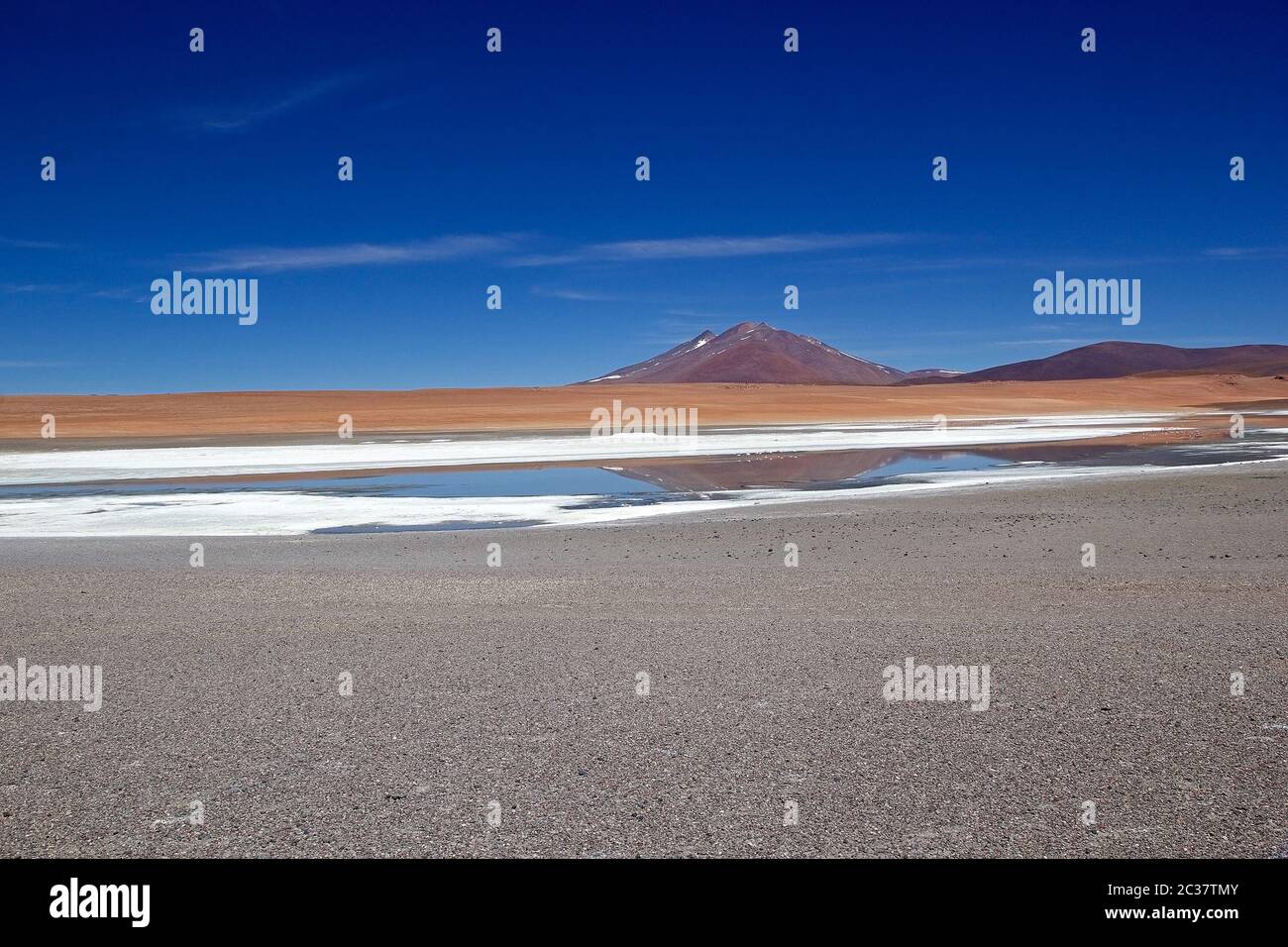 Santa Maria Lagoon with flamingos and volcano Incahuasi at the Puna de ...