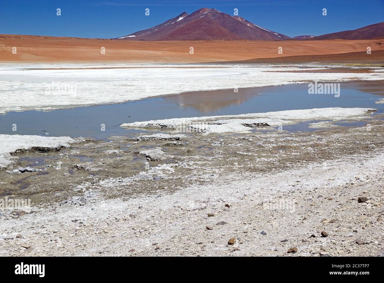 Santa Maria Lagoon with volcano Incahuasi at the Puna de Atacama with ...