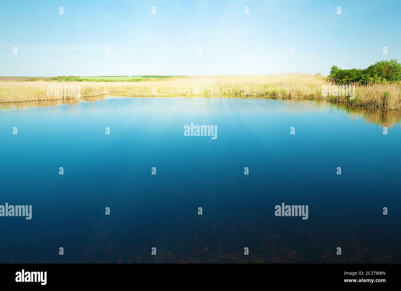 Calm lake with blue water in the hot sun Stock Photo - Alamy