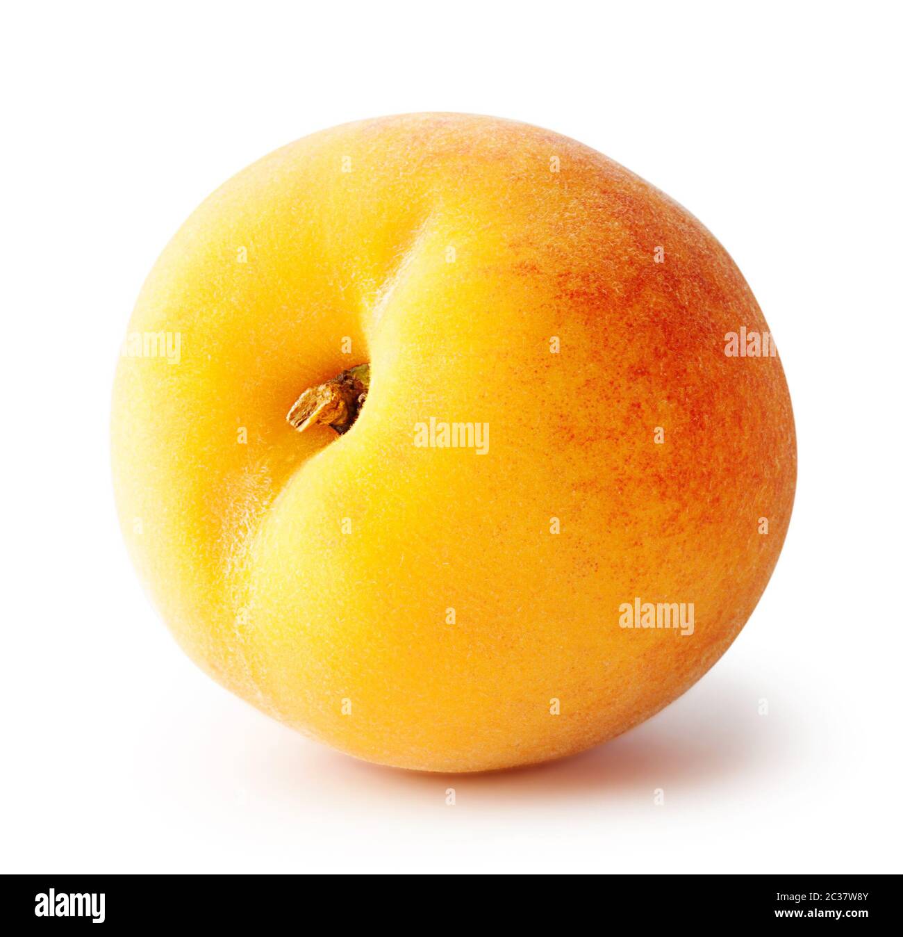 Round bright apricots isolated on white background Stock Photo - Alamy