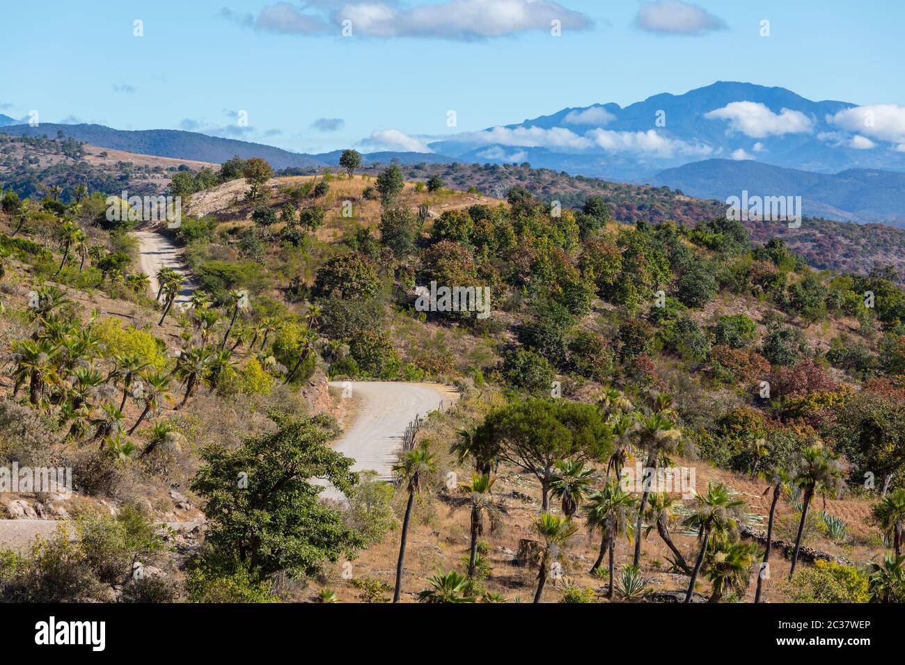 Mountains in Mexico Stock Photo - Alamy