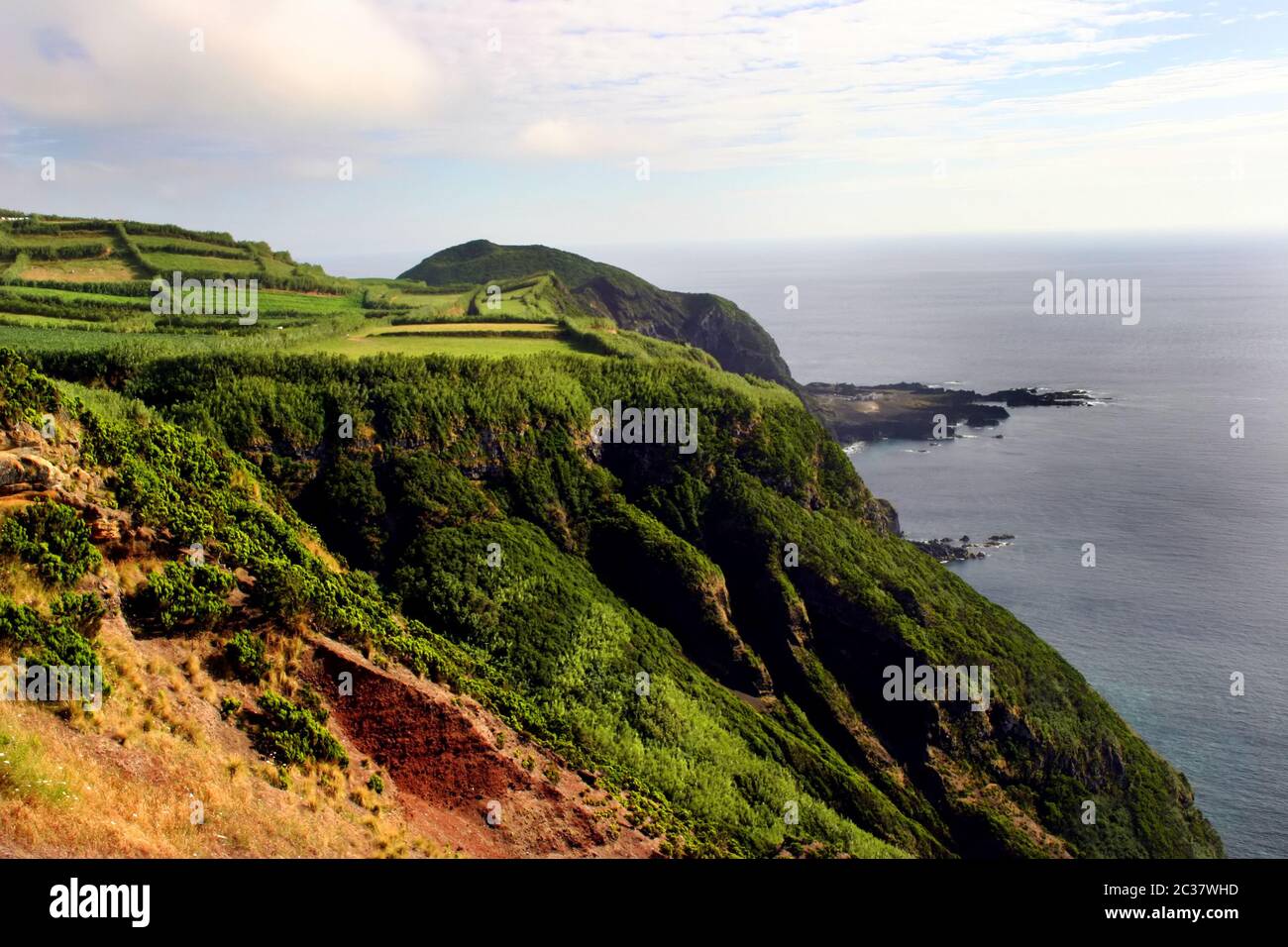 azores coastal cliff at sao miguel island Stock Photo - Alamy