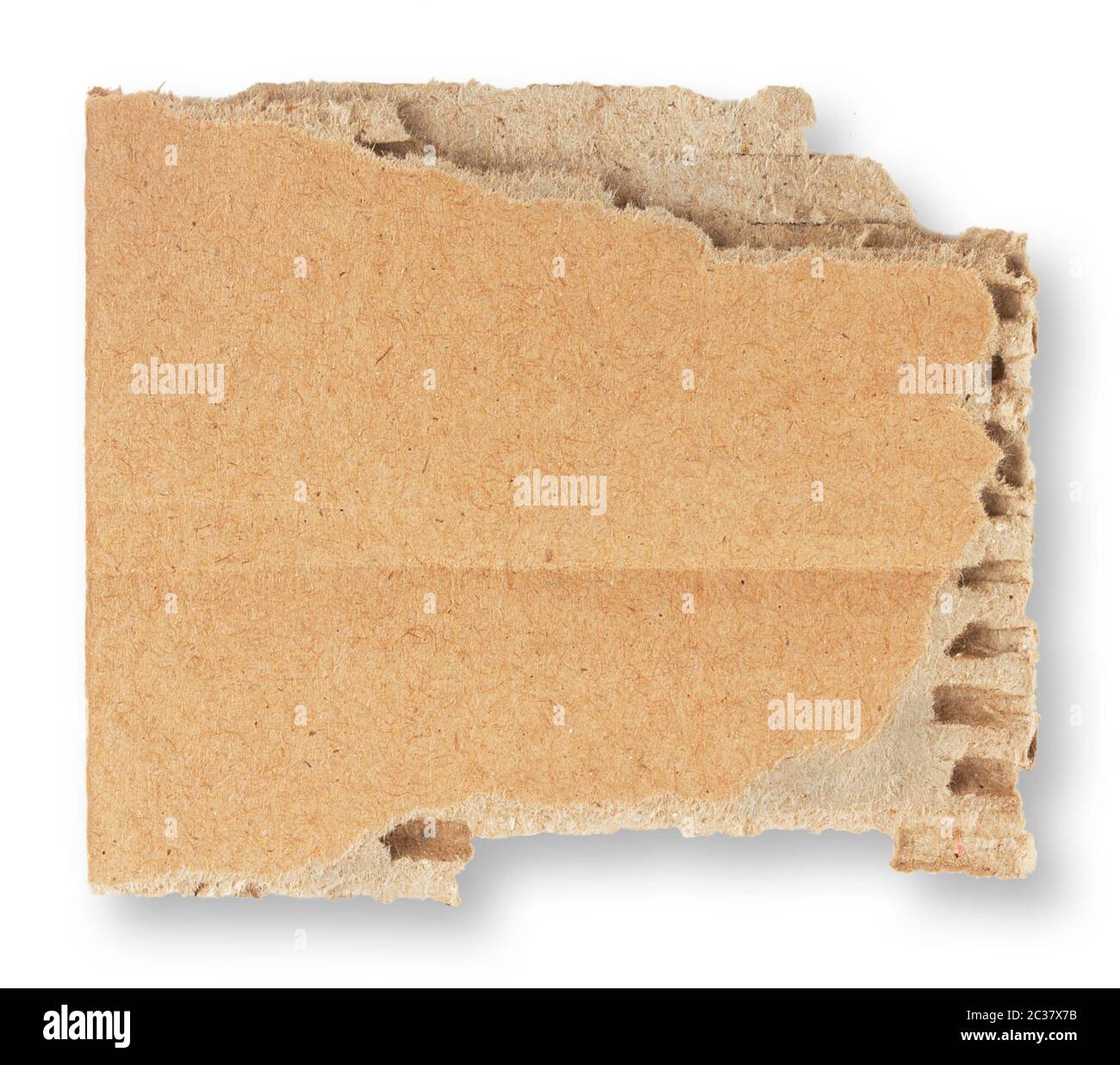 Torn piece of cardboard isolated on white background Stock Photo - Alamy