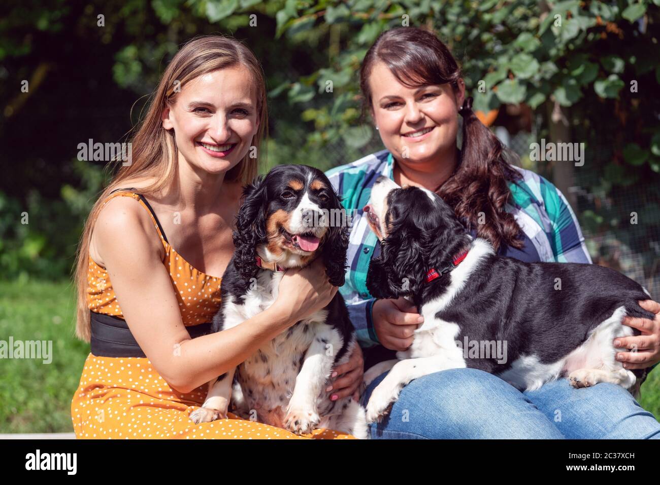 People having fun with dogs hi-res stock photography and images - Alamy