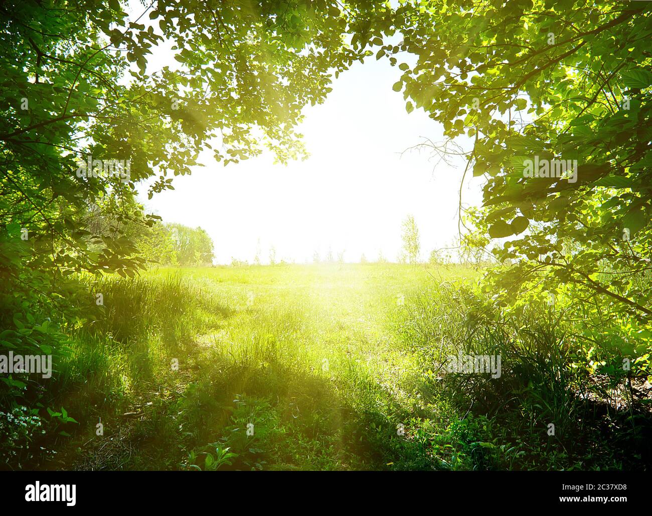 Tunnel leading to bright light hi-res stock photography and images - Alamy
