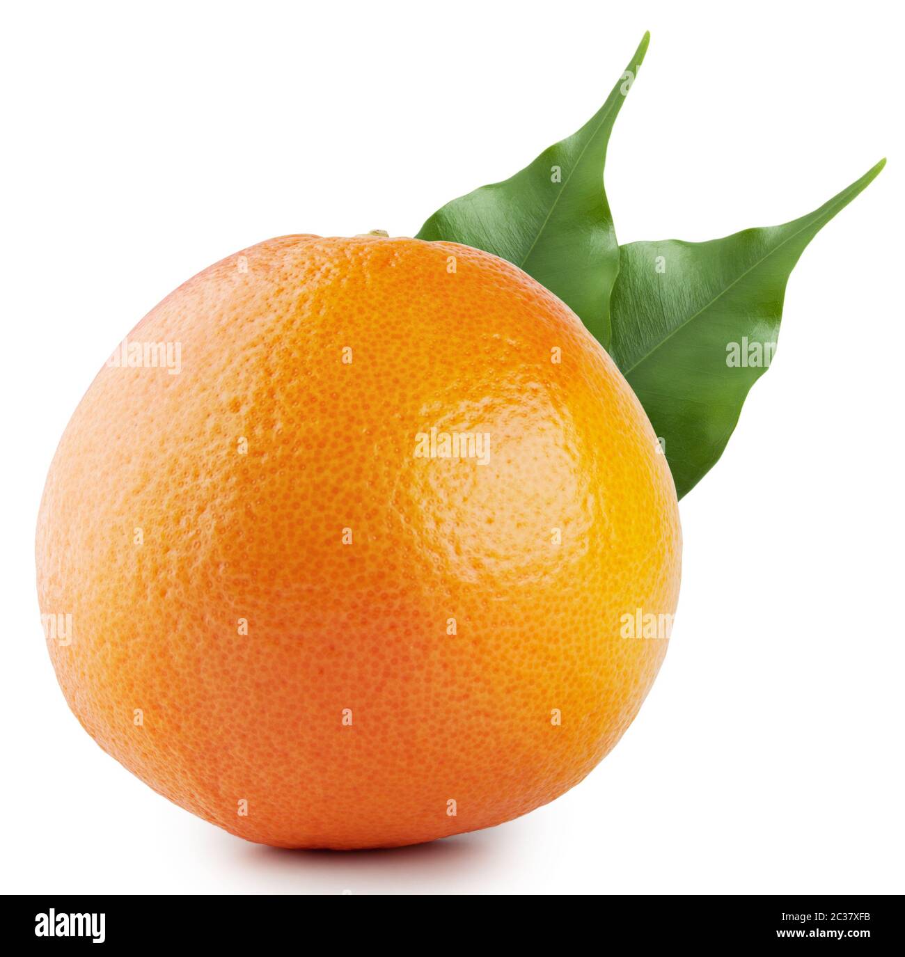 Ripe grapefruit with leaves isolated on a white background Stock Photo ...