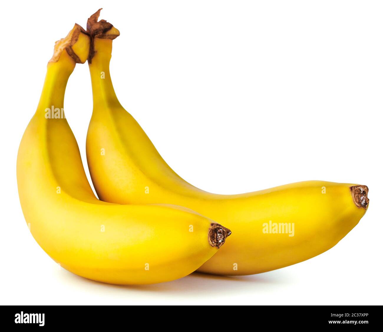 Two yellow ripe banana isolated on white background Stock Photo - Alamy