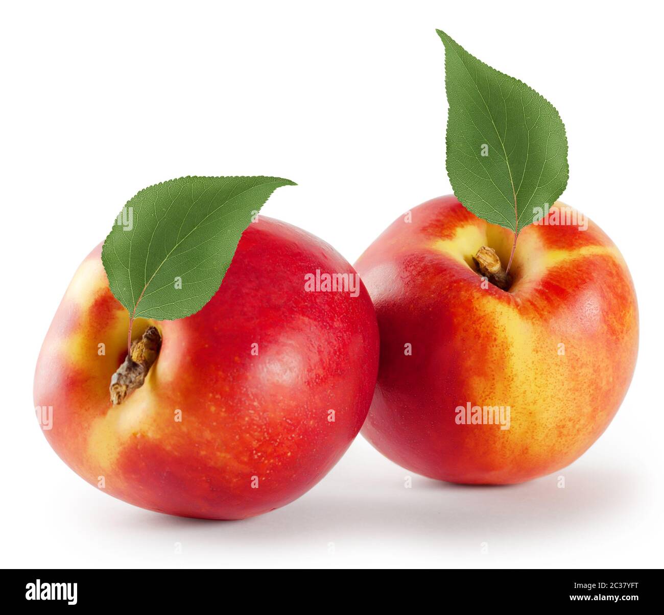 Ripe juicy nectarine with leaves isolated on white background Stock ...