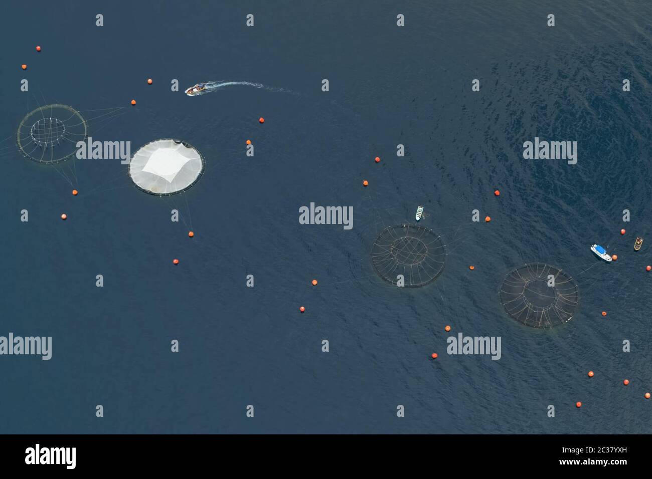 Fish farm at sea. Top view of the fish farm Stock Photo - Alamy