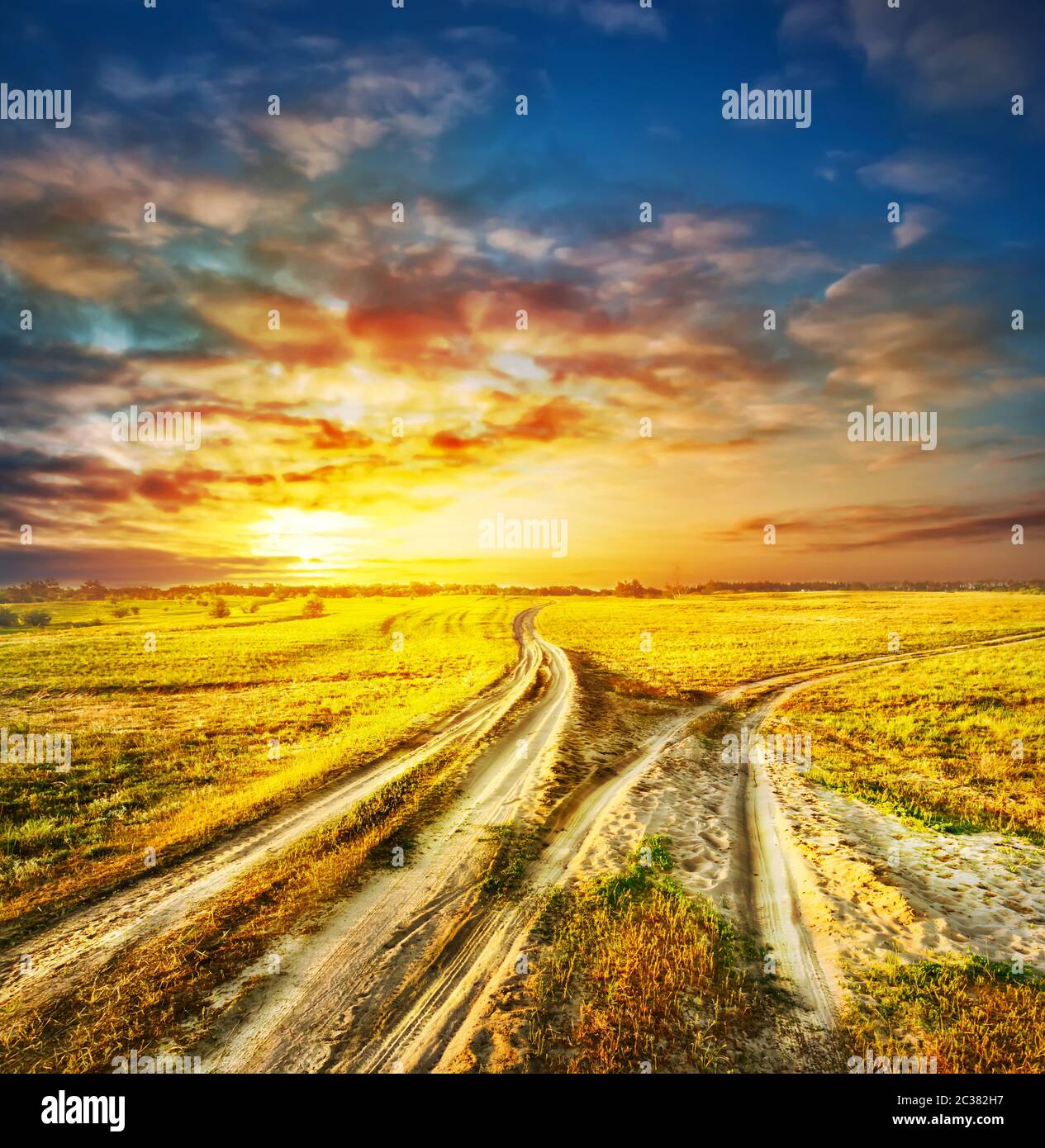 Two divergent sandy road in a field under a dramatic sky Stock Photo ...