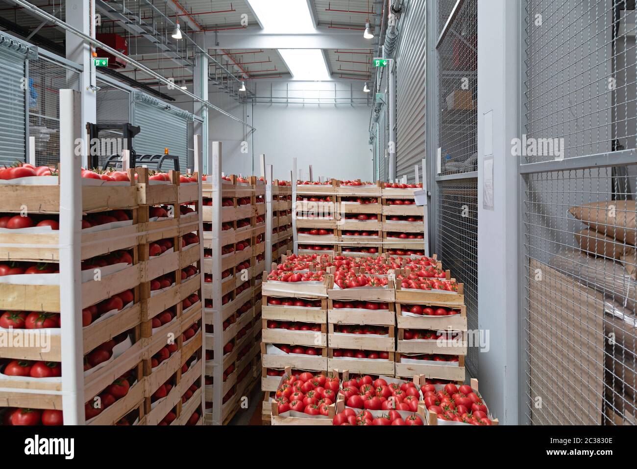 Crates of Red Tomatoes in Warehouse Storage Stock Photo - Alamy