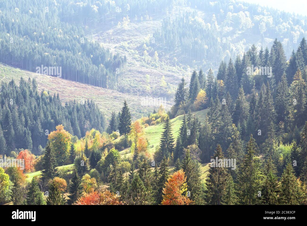 Wooded slopes hi-res stock photography and images - Alamy