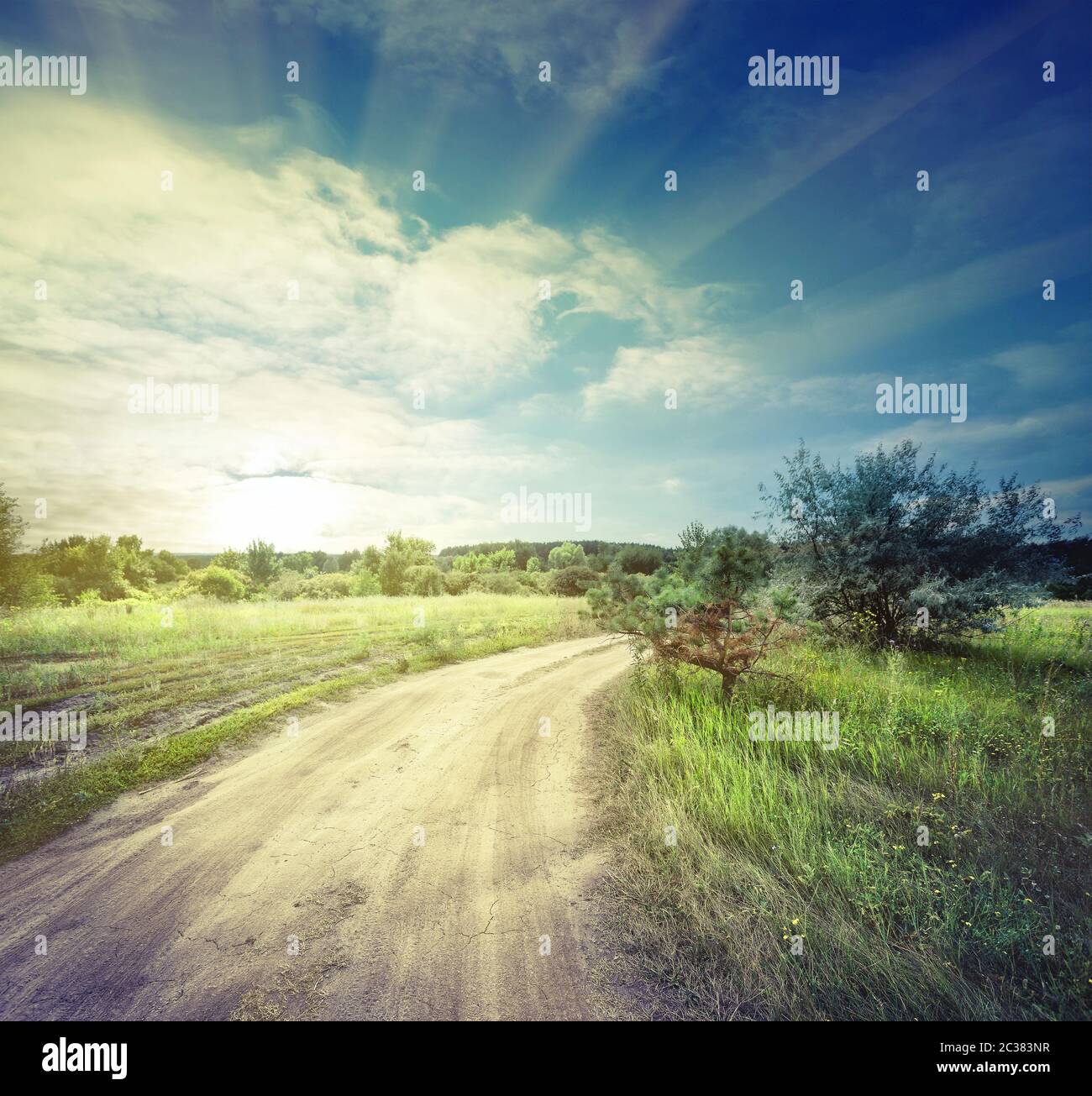 Road in field under hi-res stock photography and images - Alamy