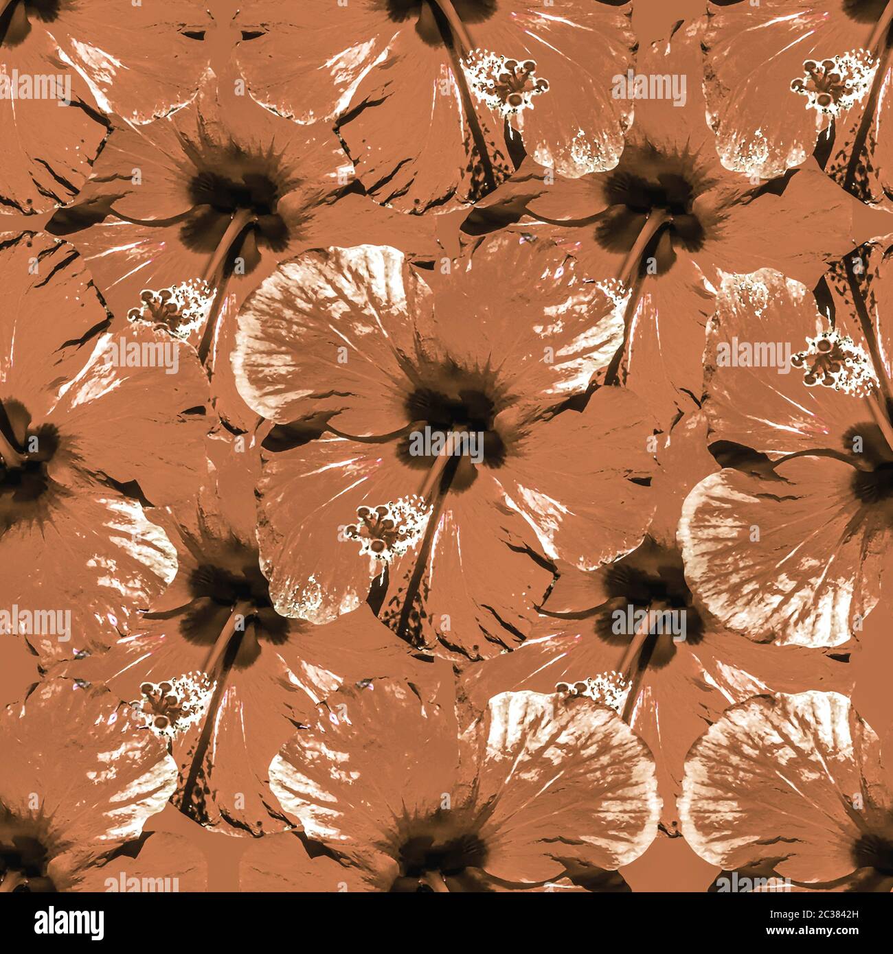 Hibiscus Flowers Collage Seamless Pattern Stock Photo - Alamy