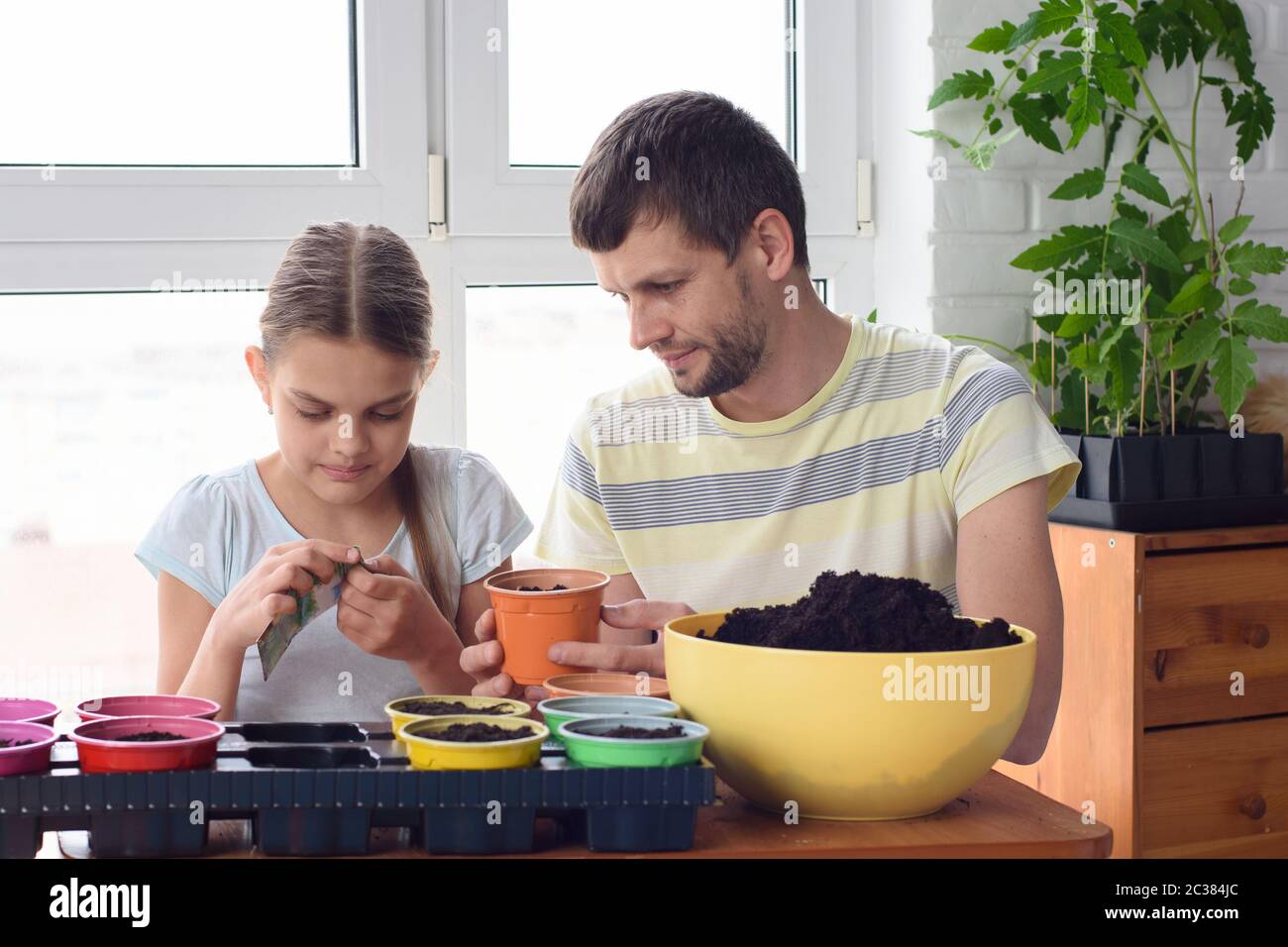 Mom and daughter plant seedlings in flower pots Stock Photo - Alamy