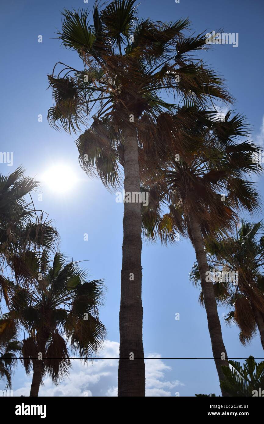 Sun shines brightly in clear hi-res stock photography and images - Alamy