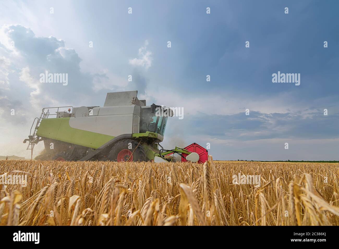 Combine harvesting a wheat field. Combine working the field Stock Photo ...