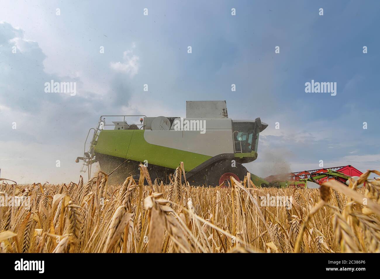 Combine harvesting a wheat field. Combine working the field Stock Photo ...