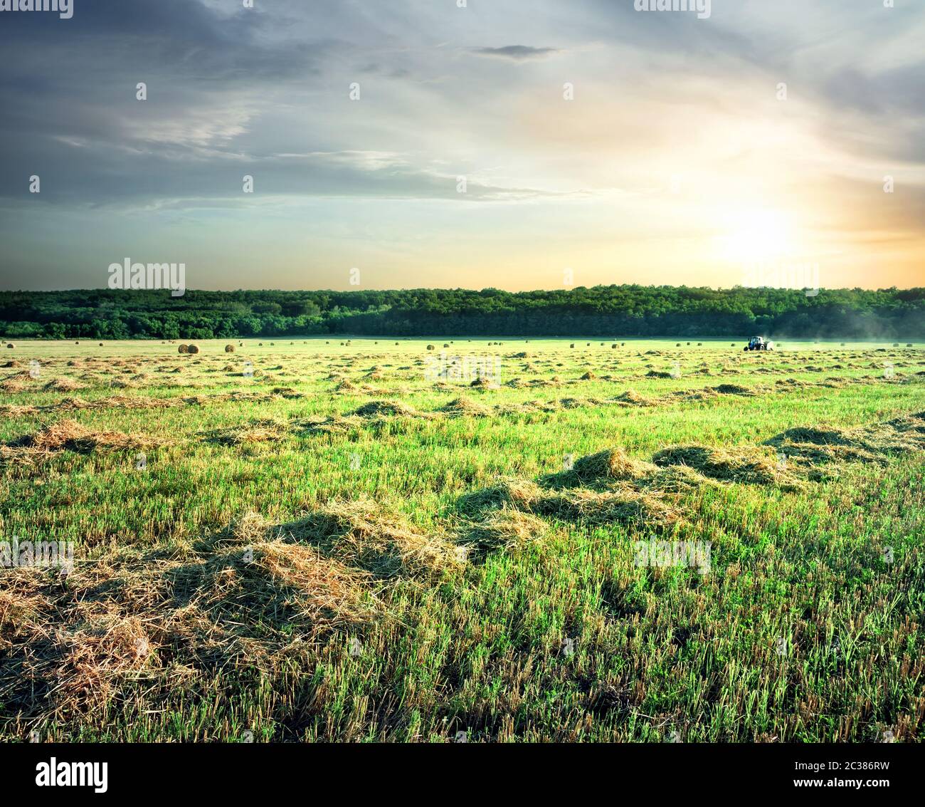 Working under summer sun hi-res stock photography and images - Alamy