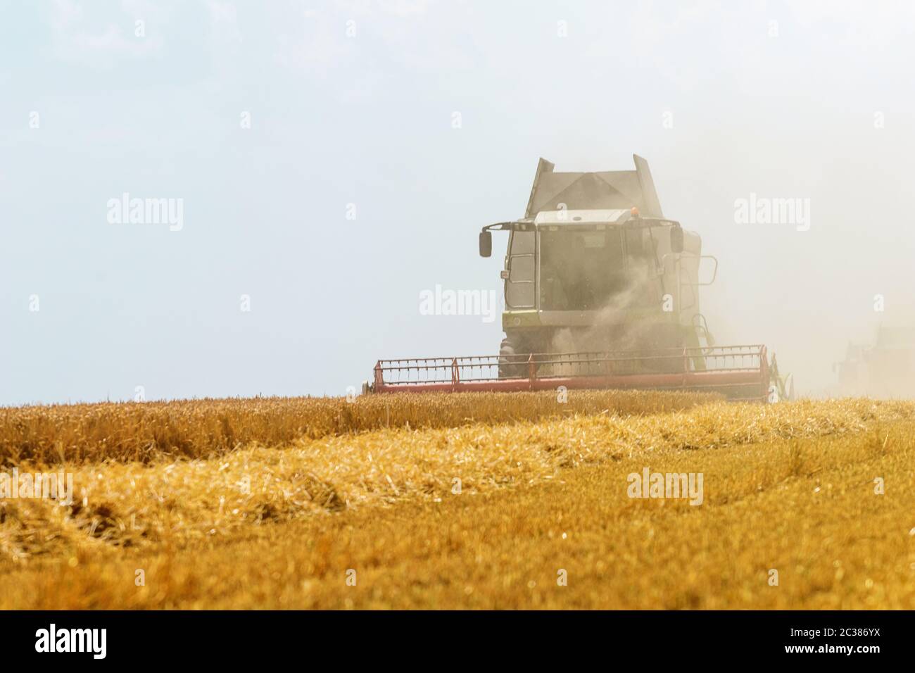 Combine harvesting a wheat field. Combine working the field Stock Photo ...