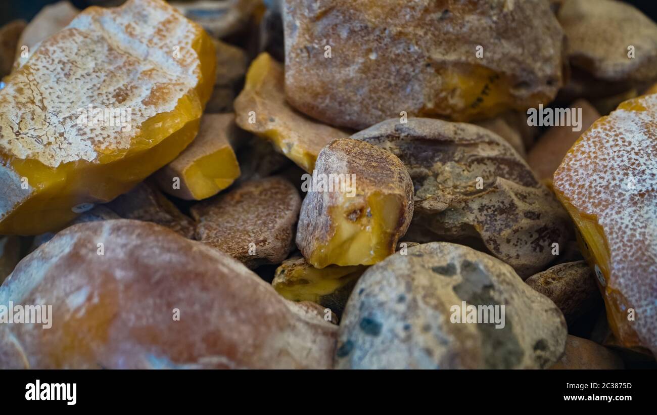 Amber stone. Authentic Baltic amber with prehistoric fossil insect ...