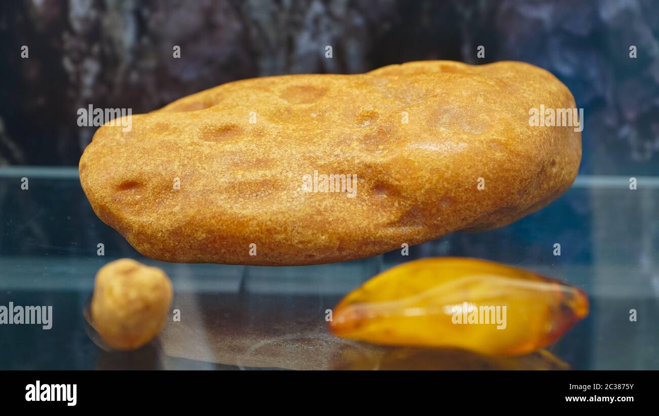 Amber stone. Authentic Baltic amber with prehistoric fossil insect ...