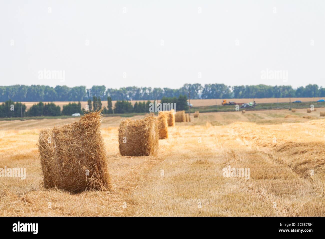 A tractor with a trailed bale making machine collects straw rolls in ...