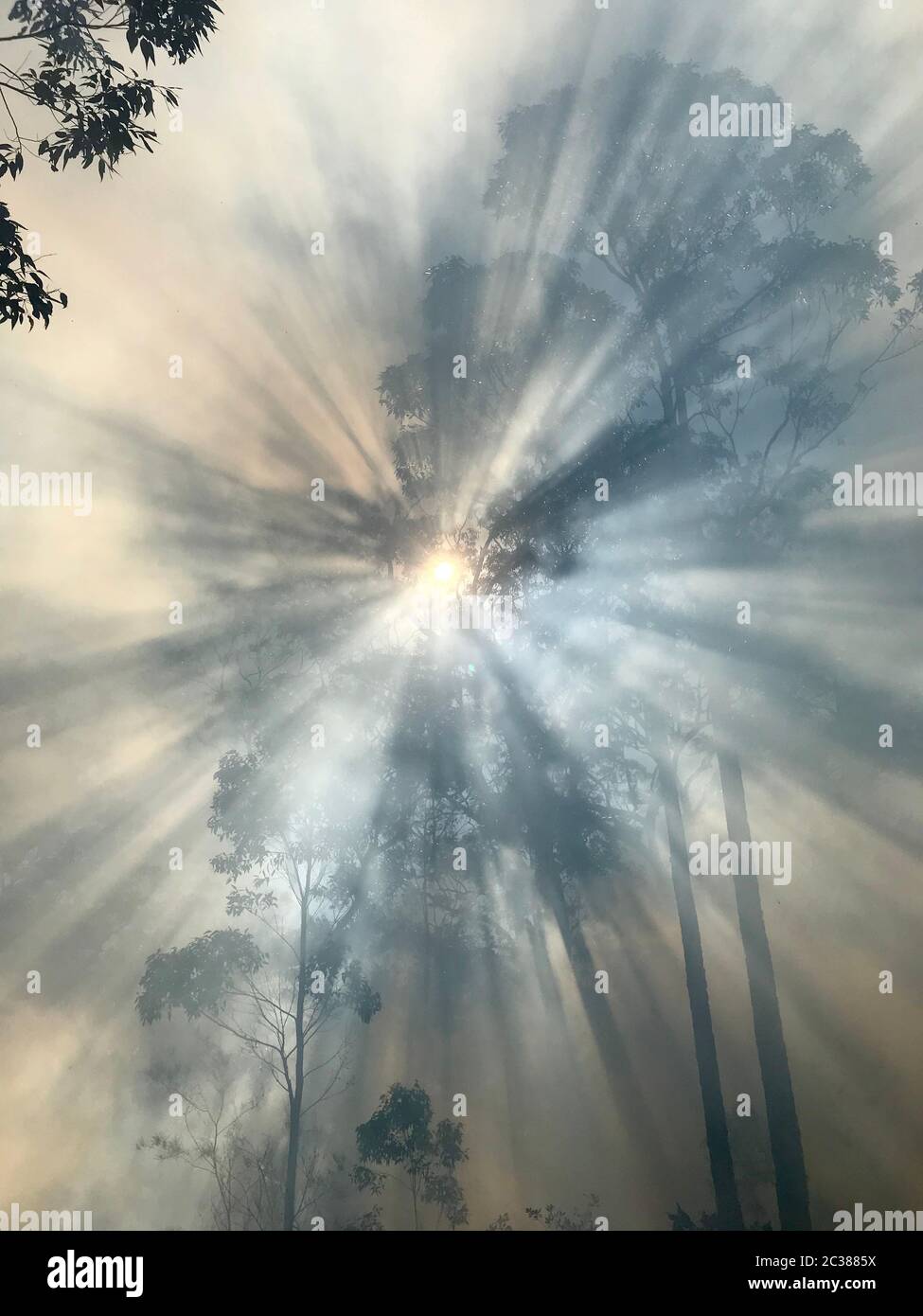 Smoke with sunlight from a bushfire in Australia Stock Photo - Alamy