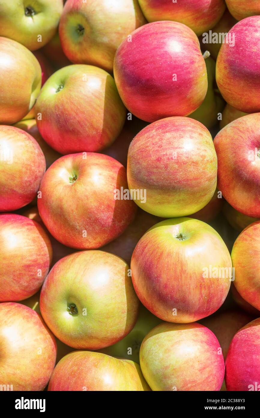 Red Ripe Apples Background Stock Photo - Alamy