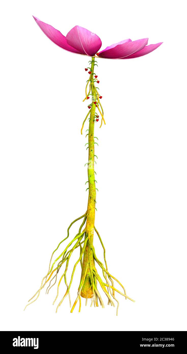 3D rendering of a fantasy alien flower isolated on white background ...