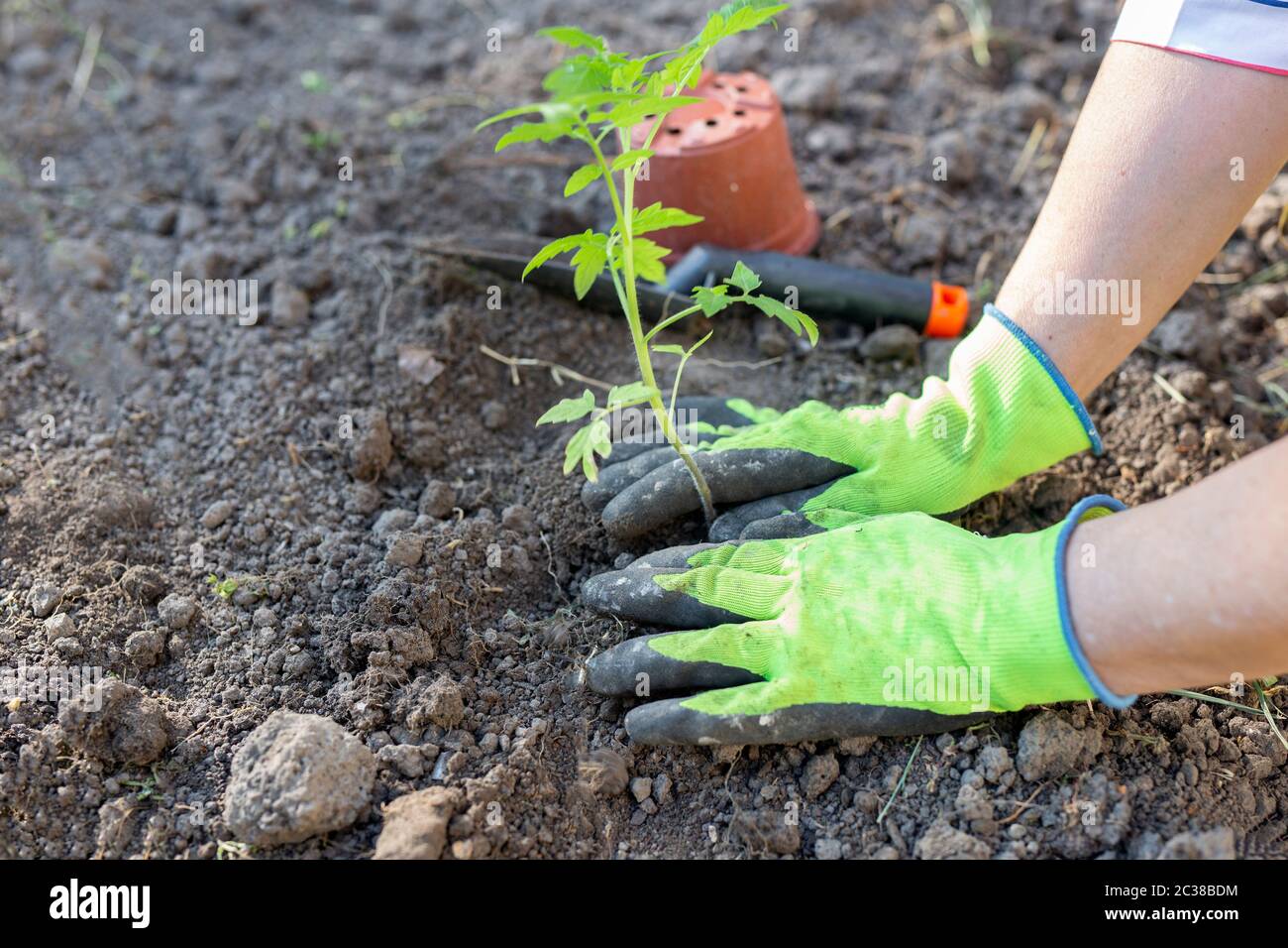 Making a land more green with plants Stock Photo - Alamy