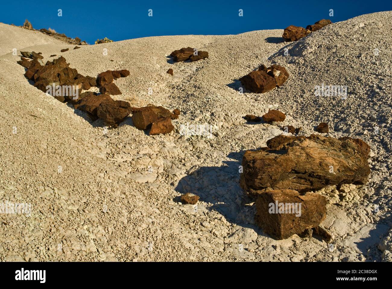 Chunks of lava at tuff ash formation near Cerro Castellan at Ross ...
