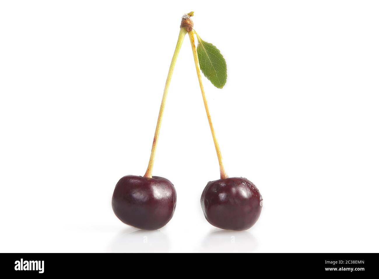 Amarene Cut Out Stock Images & Pictures - Alamy