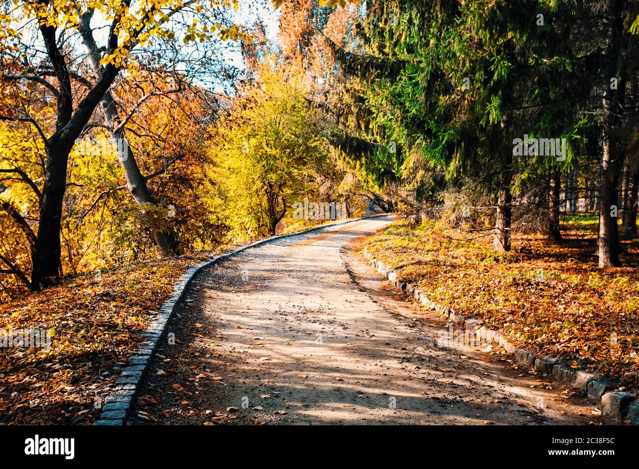 Asphalt path in the autumn park. The concept of movement and freedom ...